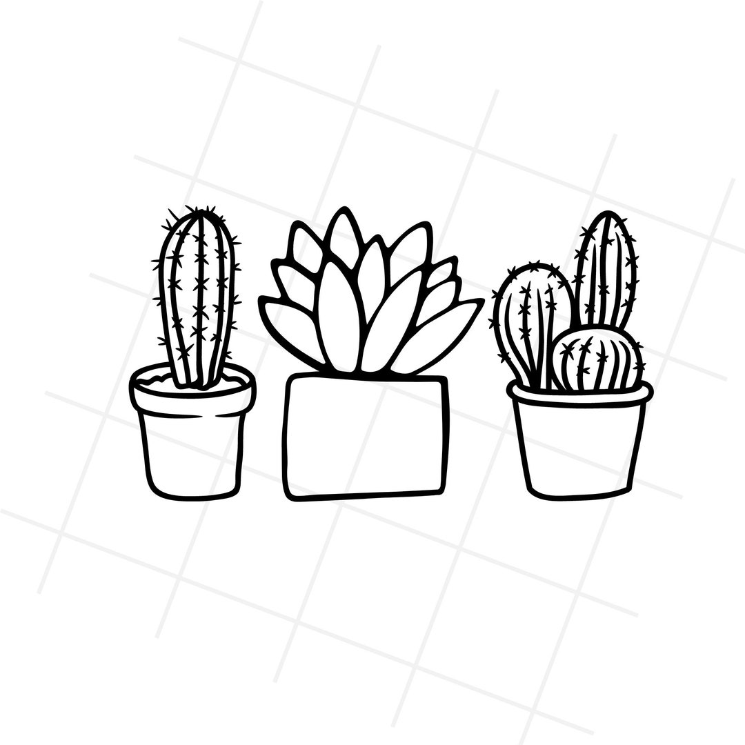 Cactus SVG PNG, Cactus Cut File - Etsy