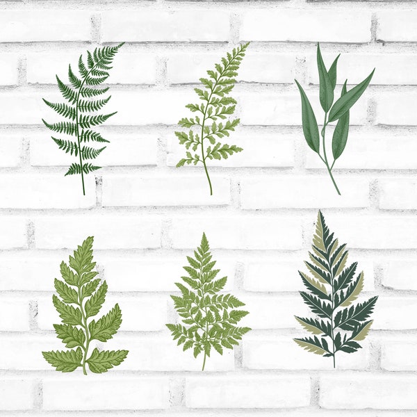 Fern Svg - Etsy
