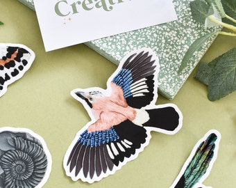 Bird Watching Stickers - Etsy