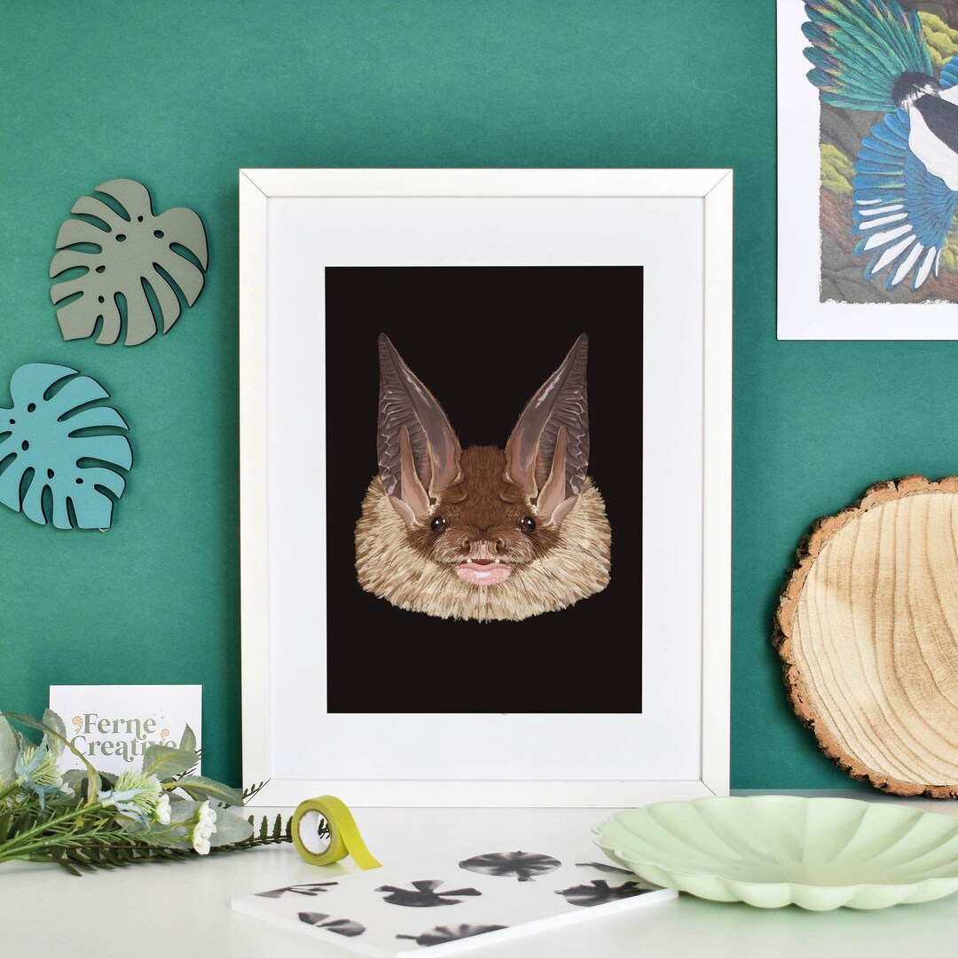 Long-eared Bat Illustrated Print - Etsy