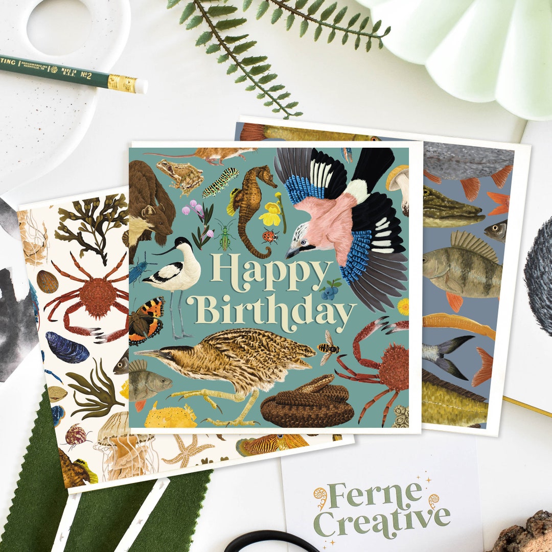 Wildlife Card Bundle, Greetings Card, Nature Card, Naturalist Gift ...