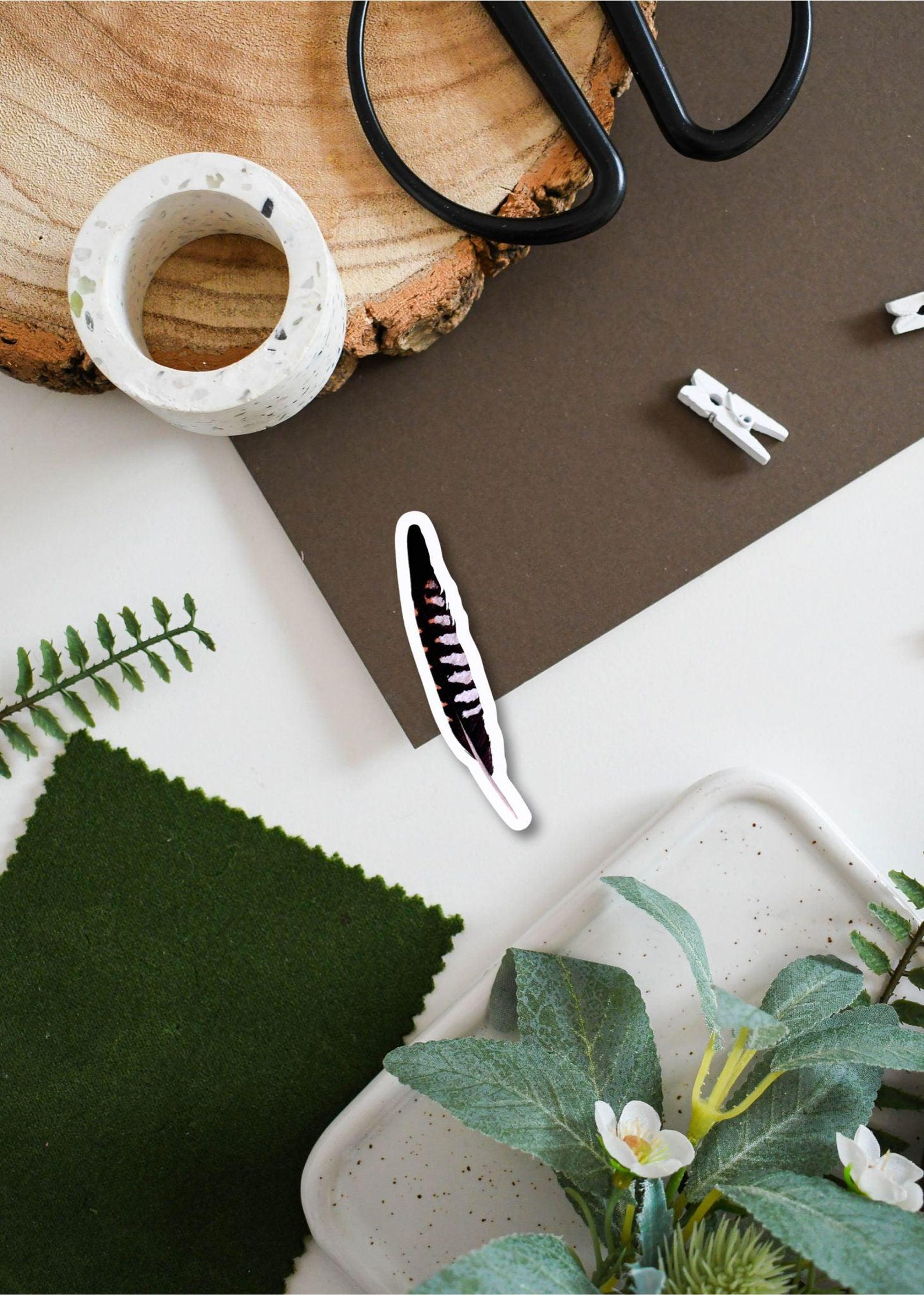 Pegatina de vinilo con pluma de cuco común - Etsy España