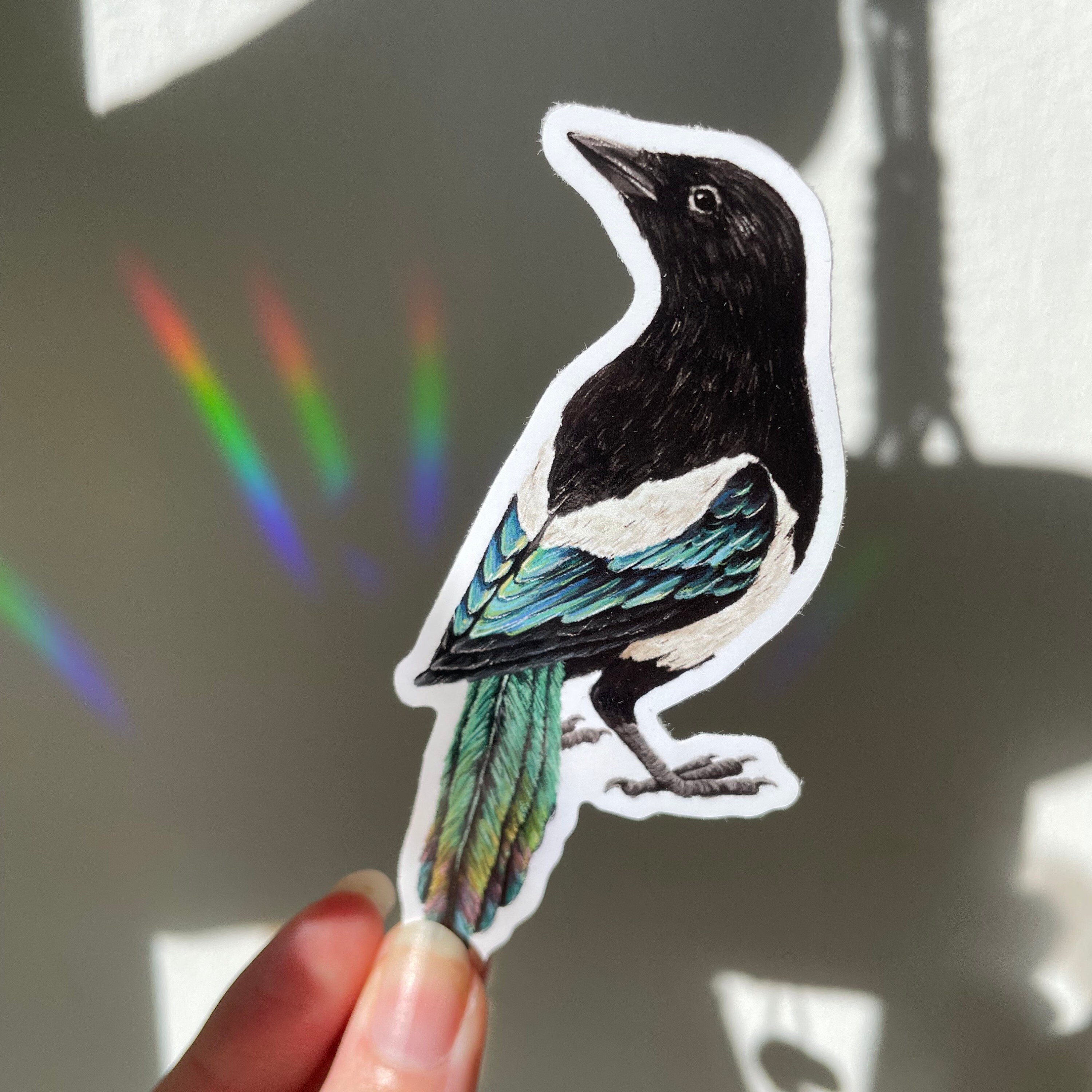 Magpie Vinyl Sticker Bundle Bird Laptop Decal Nature | Etsy UK