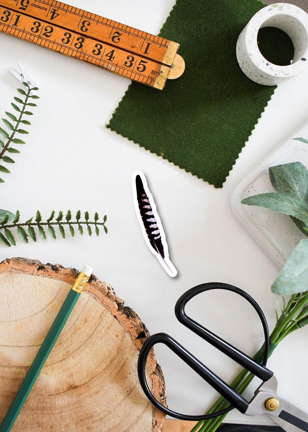 Common Cuckoo Feather Vinyl Sticker - Etsy