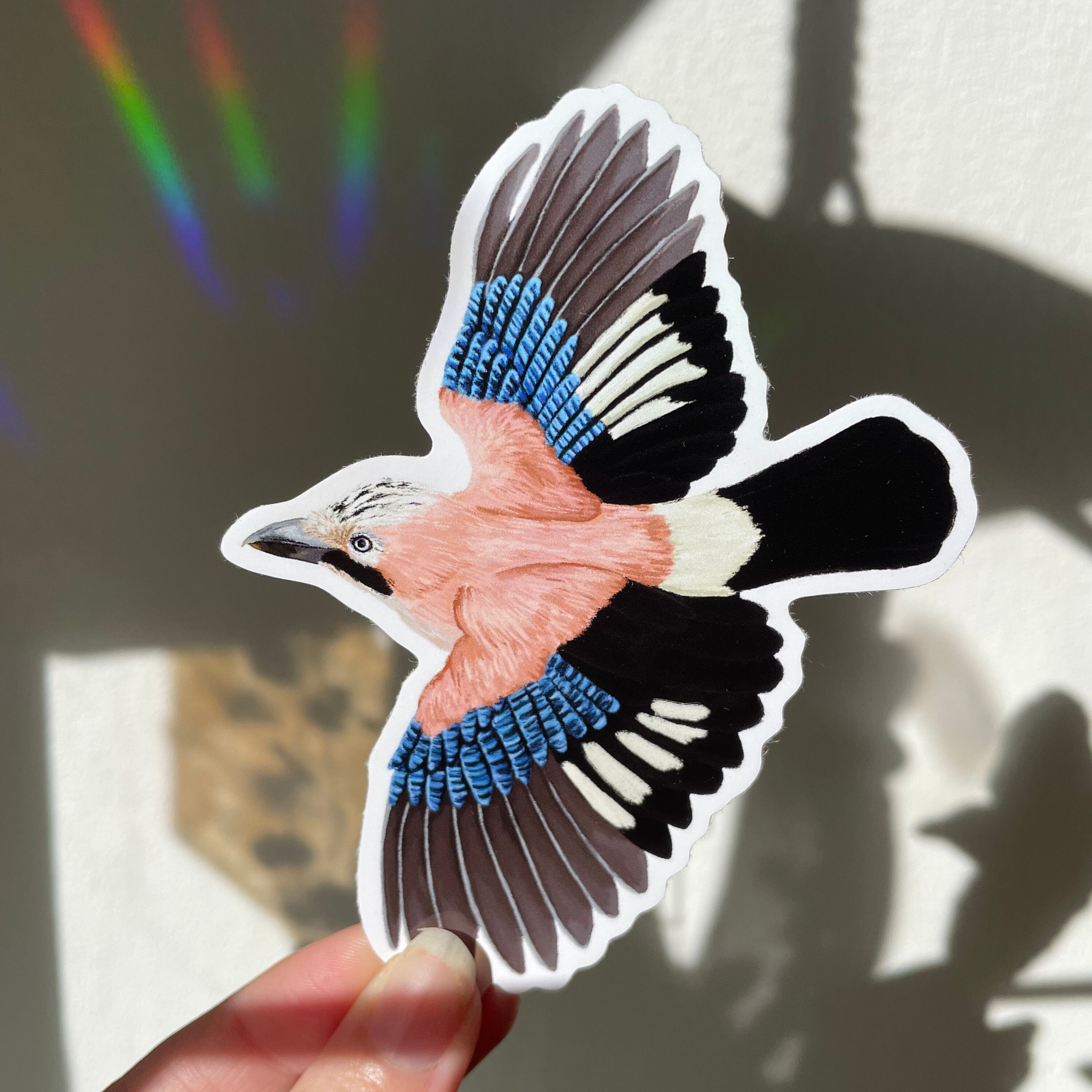 Jay Bird Vinyl Sticker Laptop Decal Cute Decal Planner - Etsy UK