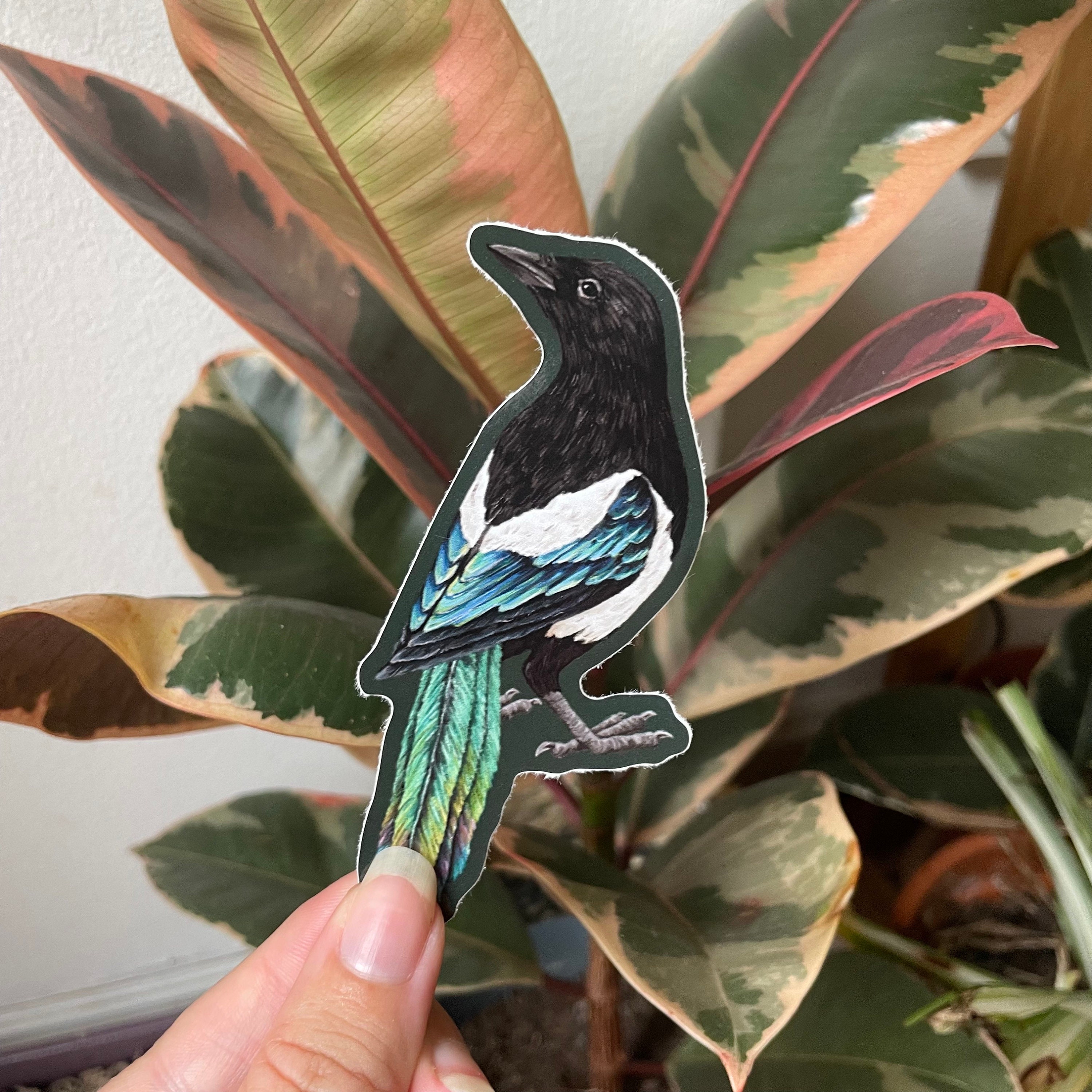 Magpie vinyl sticker Insect Laptop decal Waterproof | Etsy