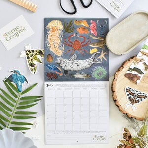 Recycled British Wildlife Habitats Calendar 2025 Illustrated Daily ...