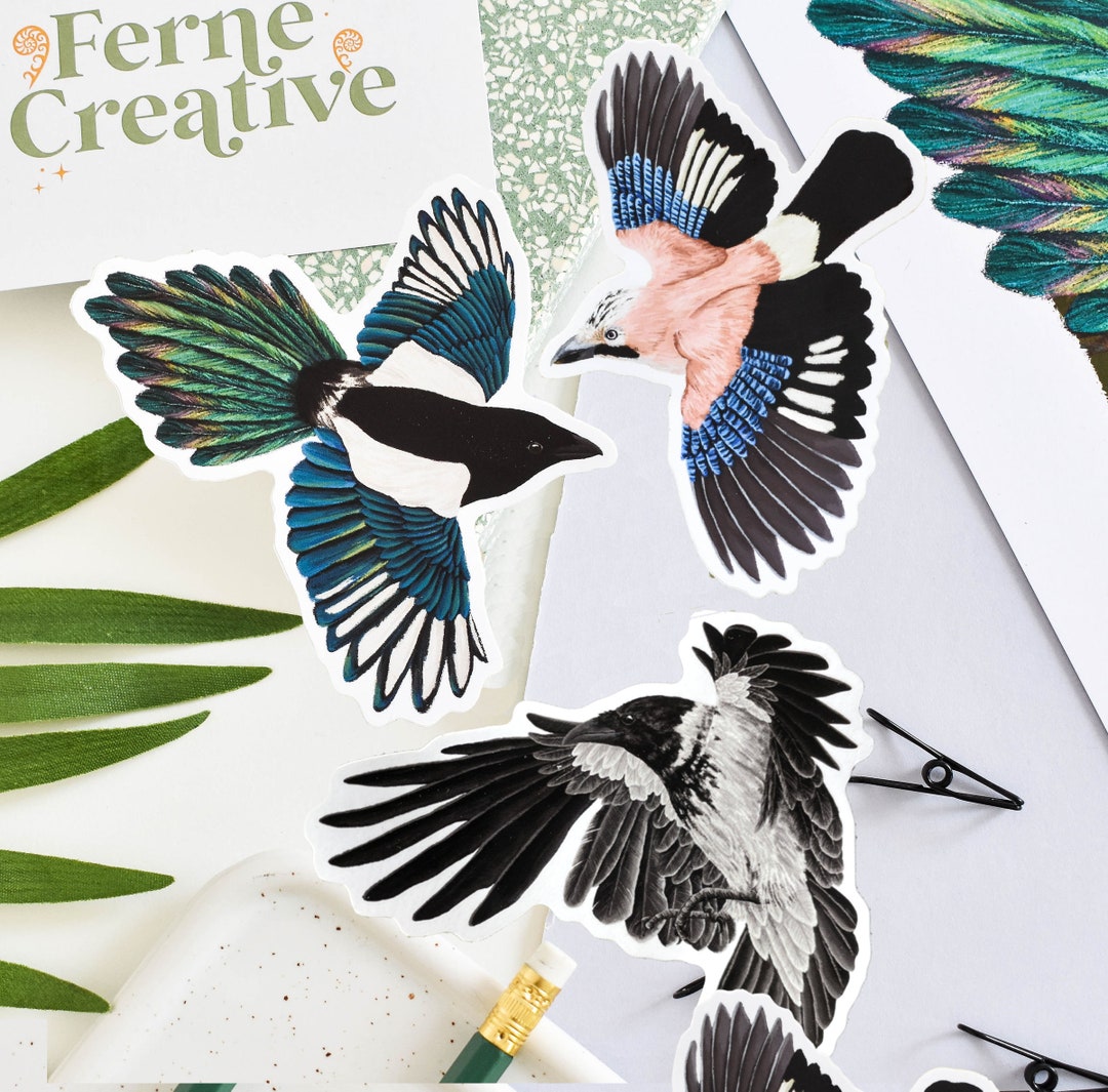 Corvid Sticker Bundle, Bird Sticker, Magpie, Crow, Weatherproof Vinyl ...