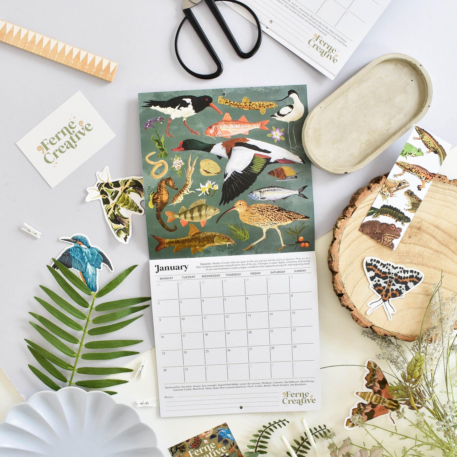 Recycled British Wildlife Habitats Calendar 2026 | Illustrated Daily ...