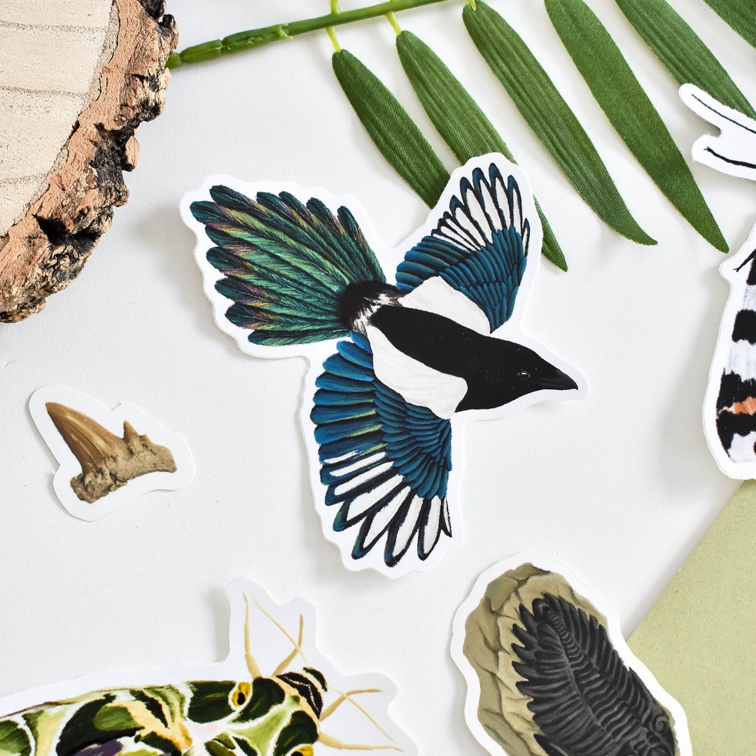 Flying Magpie Vinyl Sticker Waterproof, Durable & Stylish Bird Decal ...