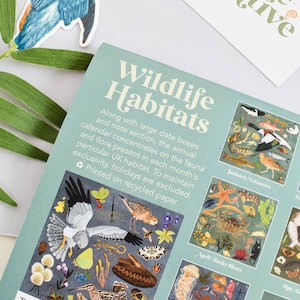 Recycled British Wildlife Habitats Calendar 2025 Illustrated Daily ...