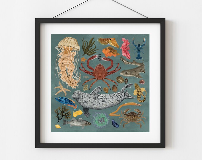 Beach decor ideas - Etsy