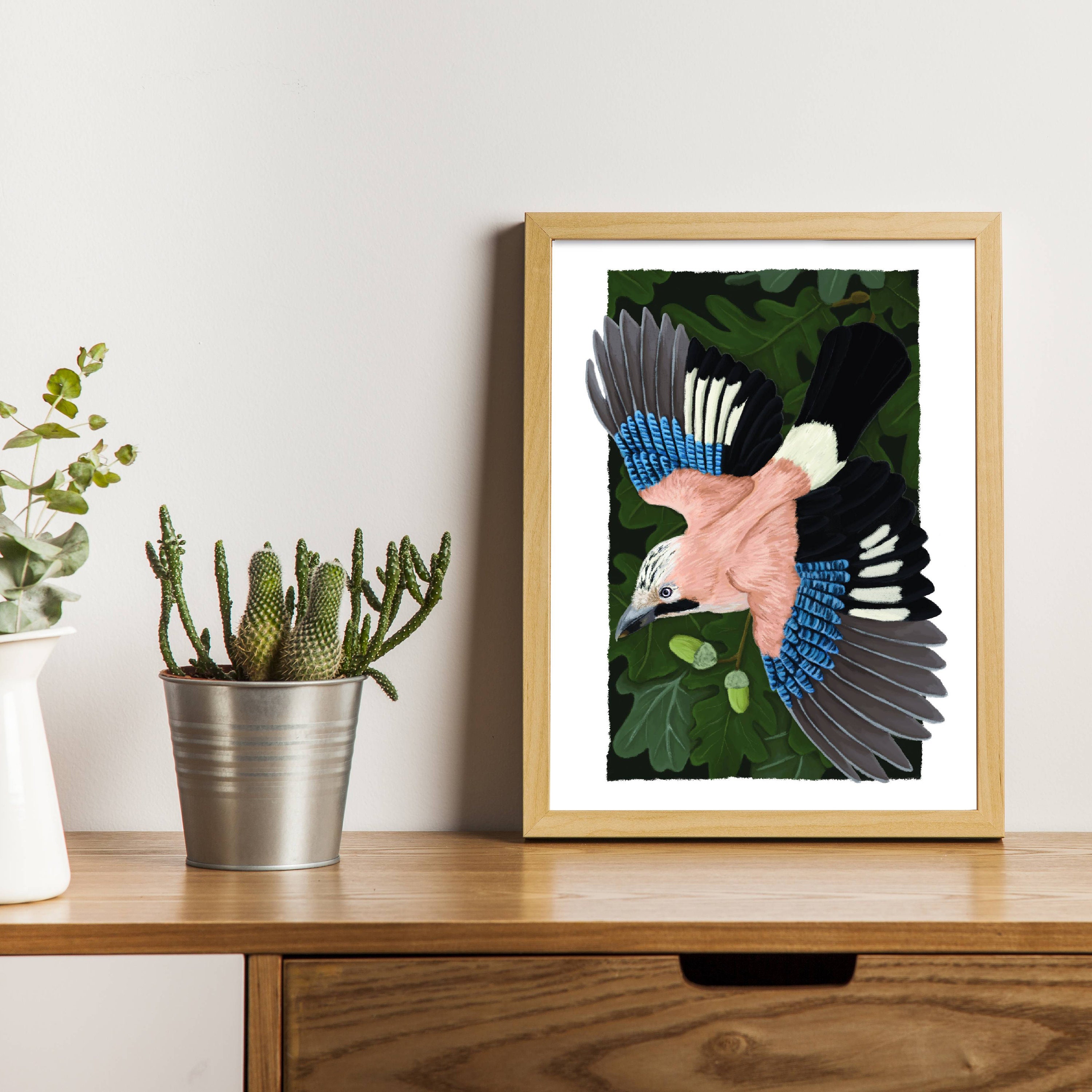 Jay Bird Print British Garden Birds Flying Bird Wall Art - Etsy