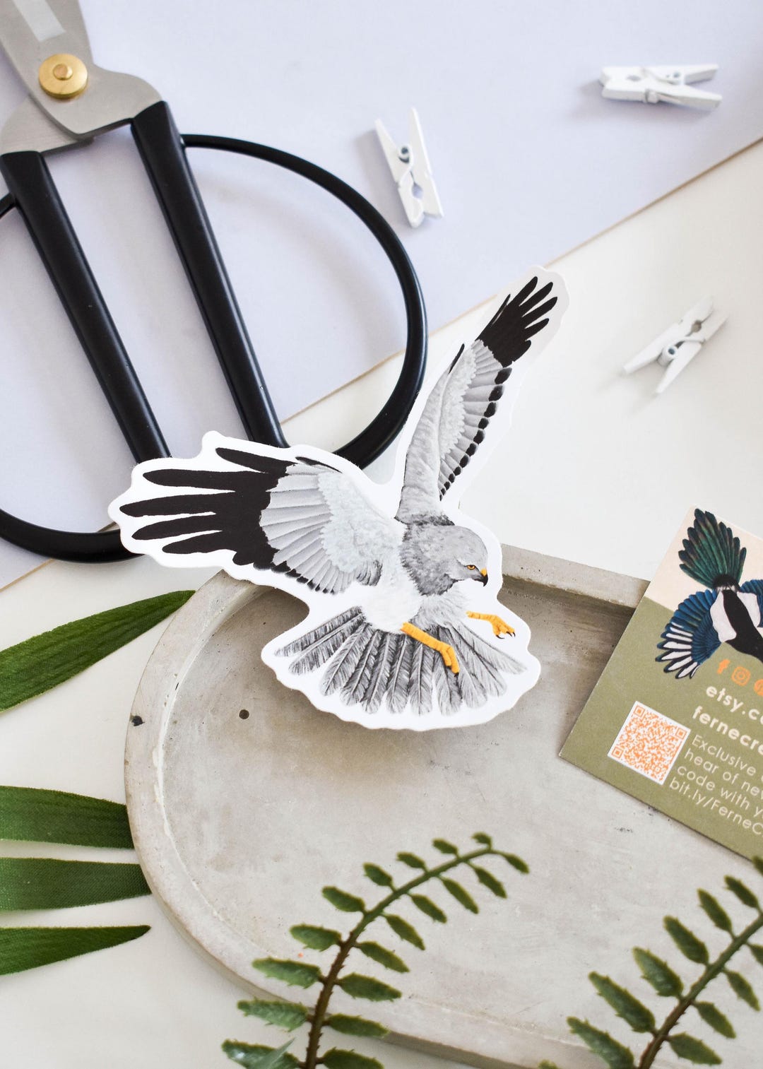 Hen Harrier Vinyl Sticker, Birds of Prey, Raptor, Nature Stickers, Bird ...