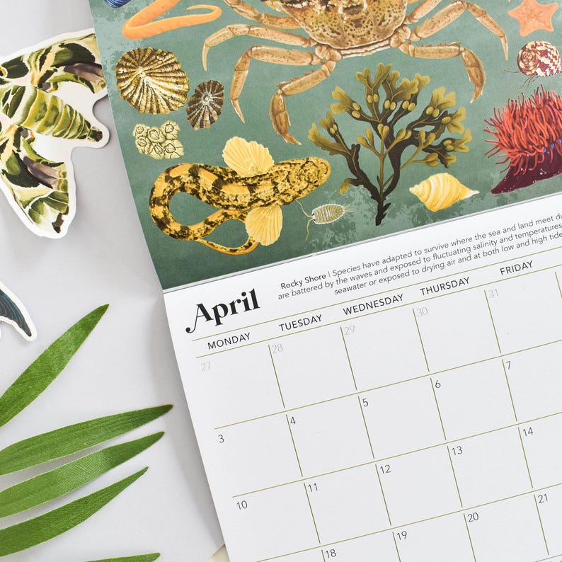 Recycled British Wildlife Habitats Calendar 2026 | Illustrated Daily ...