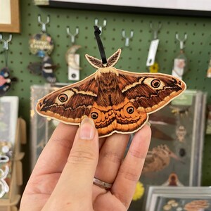 Emperor Moth Wooden Hanging Decoration - Etsy