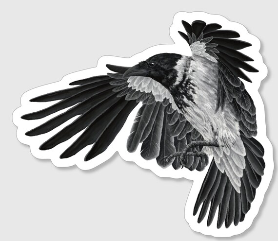 Hooded Crow Vinyl Sticker Bird Laptop Decal Raven Witch - Etsy