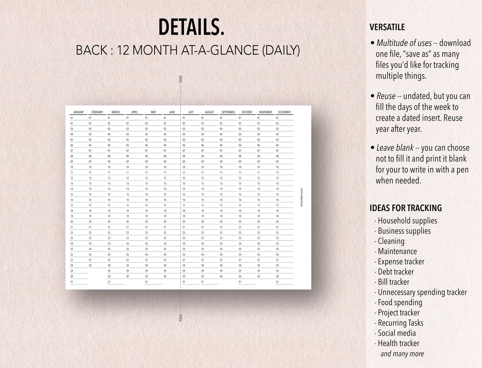 A6 FILLABLE Annual Tracker Fold Out Insert Fillable & Printable Minimal ...