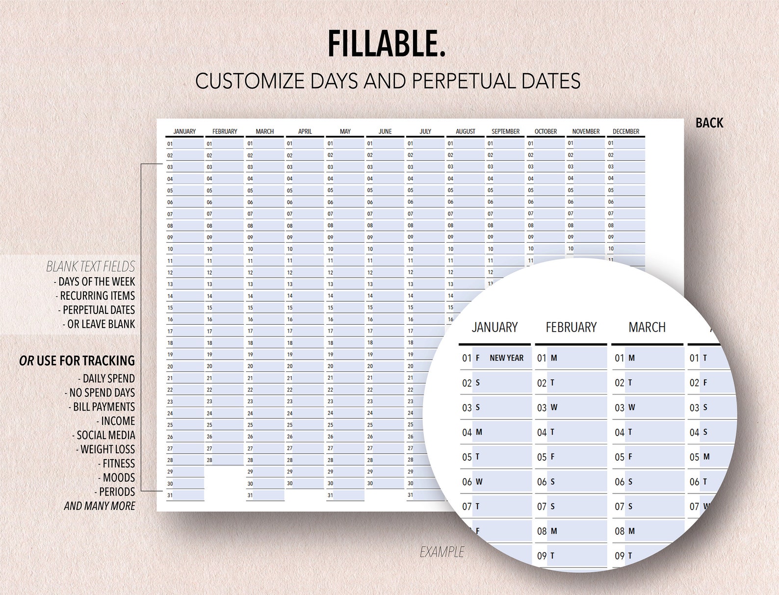 A6 FILLABLE Annual Tracker Fold Out Insert Fillable & Printable Minimal ...