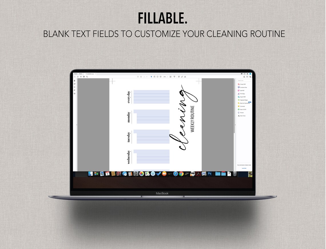 PERSONAL FILLABLE CLEANING Weekly Routine Insert Fillable | Etsy