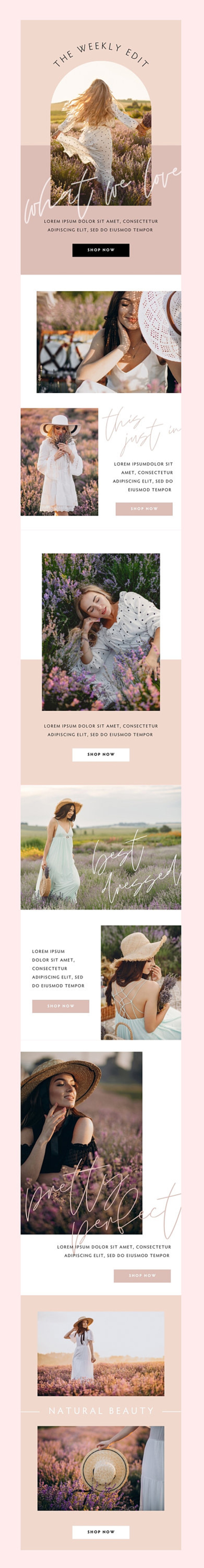 Neutral Minimalist Boho Email Template, Canva Email Template, Blush ...