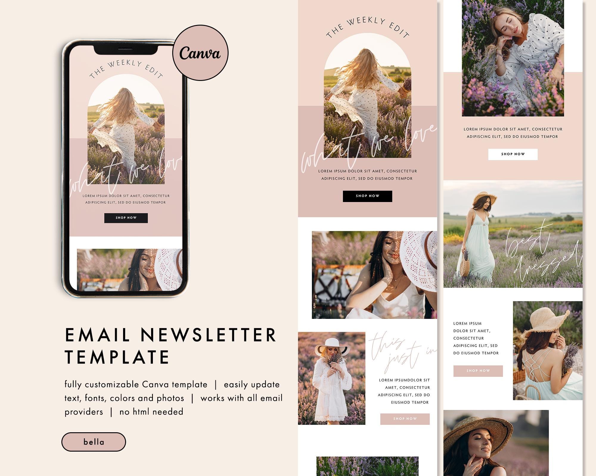 Neutral Minimalist Boho Email Template, Canva Email Template, Blush ...