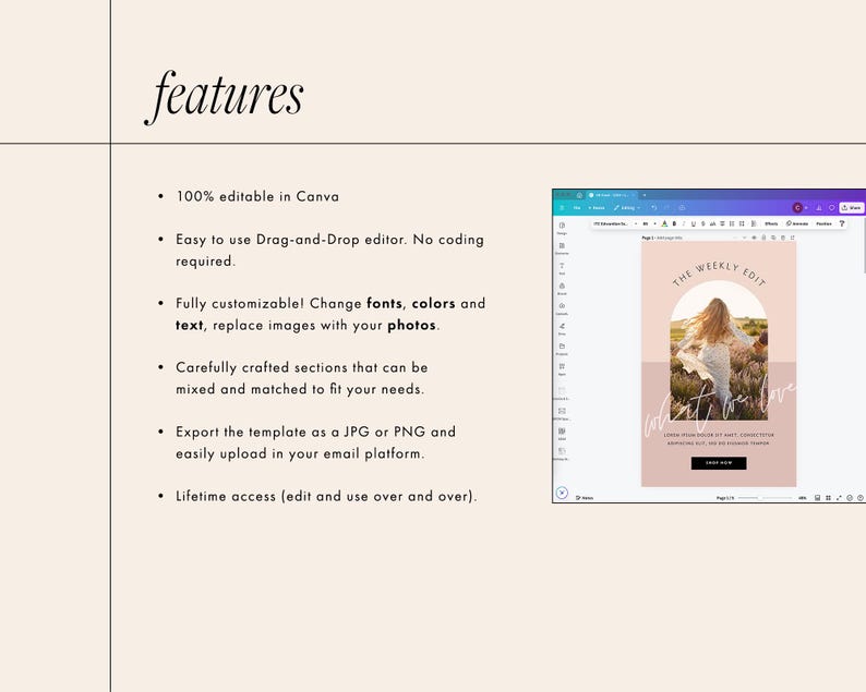 Neutral Minimalist Boho Email Template, Canva Email Template, Blush ...
