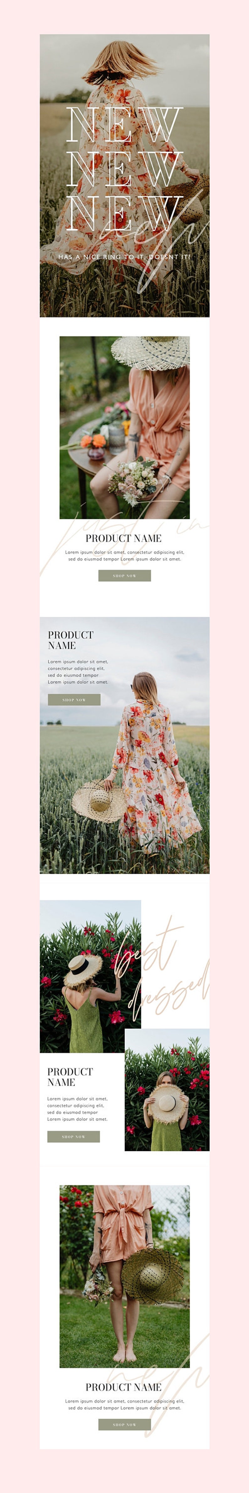 Bohemian Minimalist Email Template, Neutral Boho Email Marketing ...