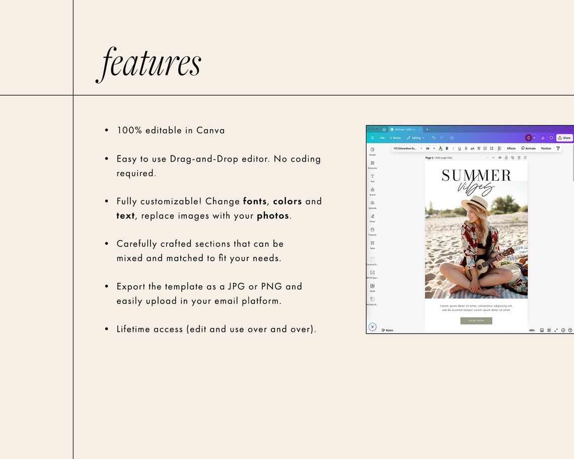 Neutral Minimal Boho Email Template, Minimalist Email Marketing ...