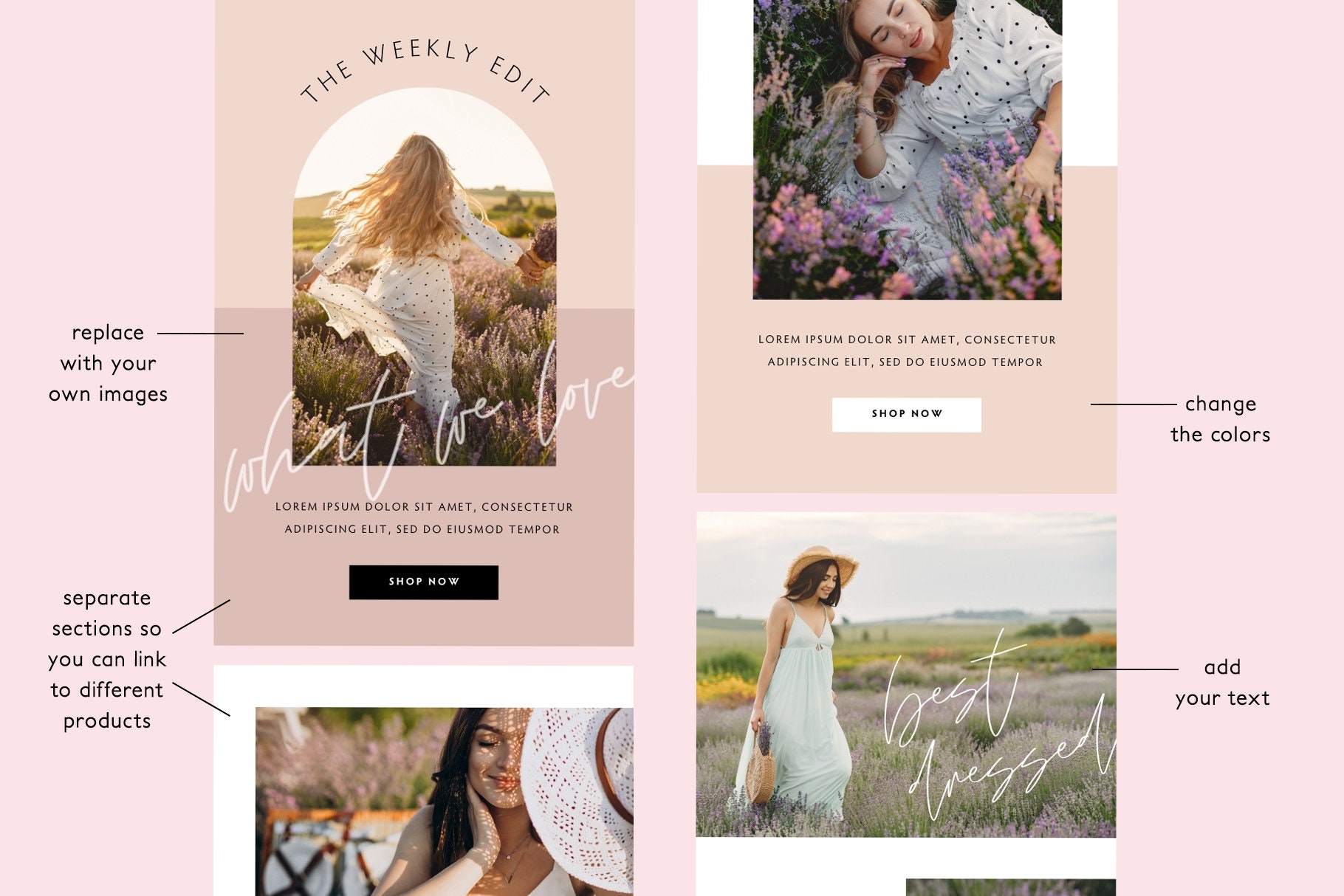 Neutral Minimalist Boho Email Template, Canva Email Template, Blush ...