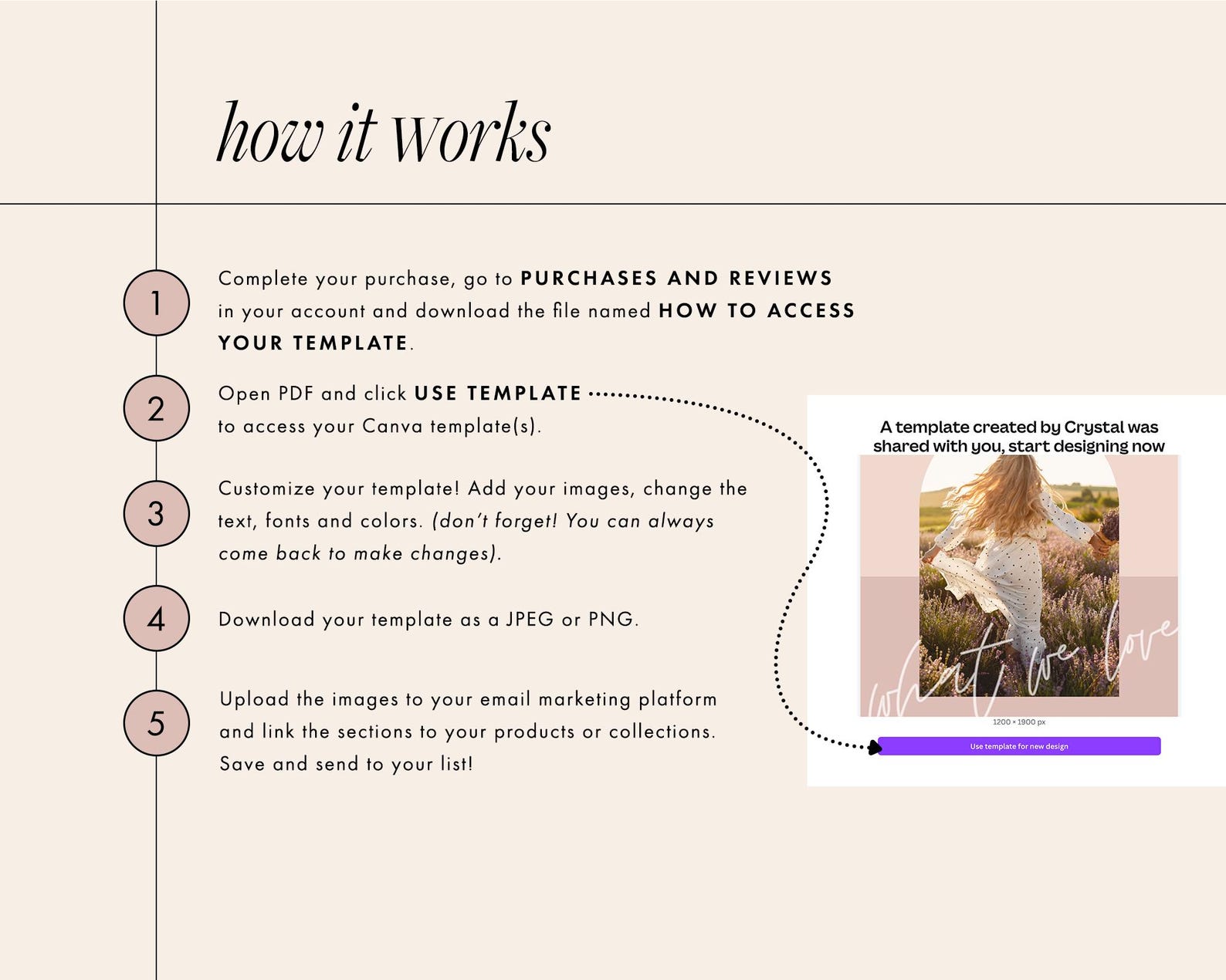 Neutral Minimalist Boho Email Template, Canva Email Template, Blush ...
