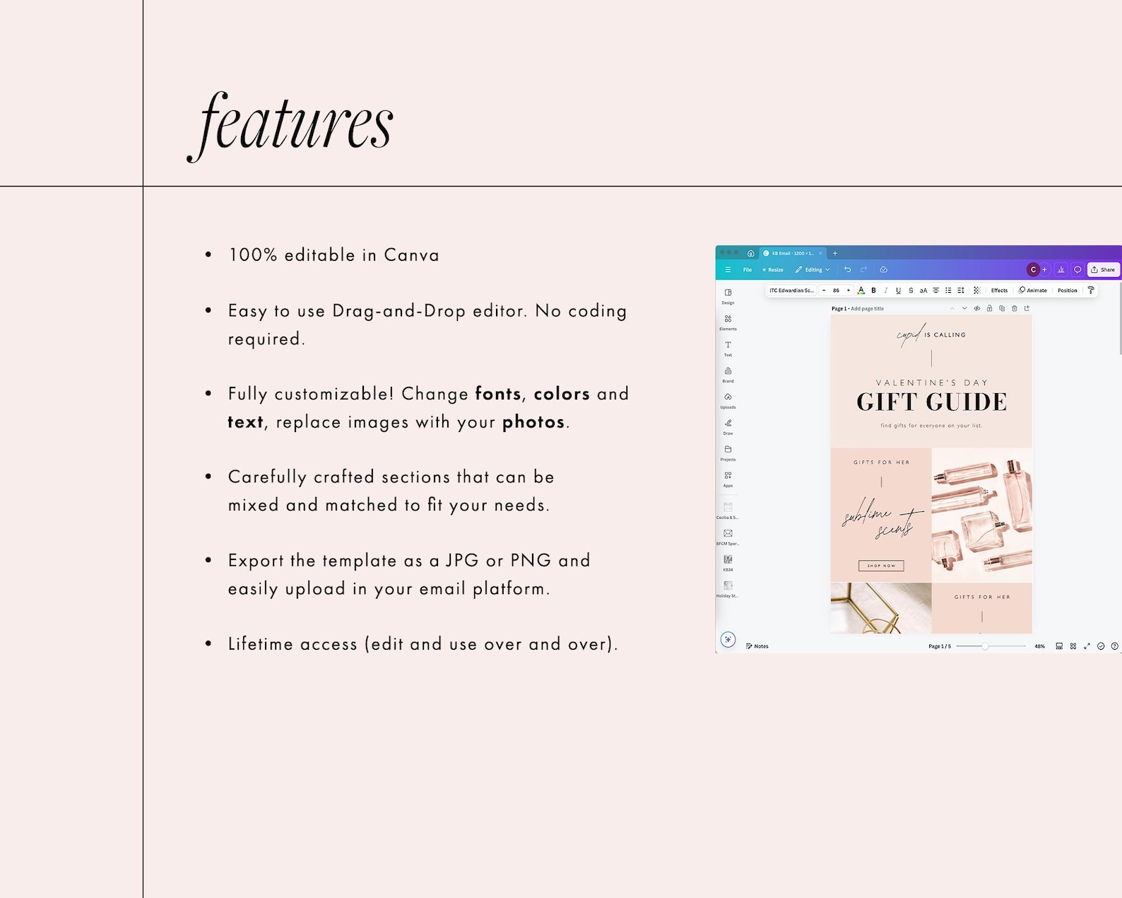 Valentine’s Day Gift Guide Email Template, Neutral Feminine Email ...