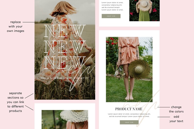 Bohemian Minimalist Email Template, Neutral Boho Email Marketing ...