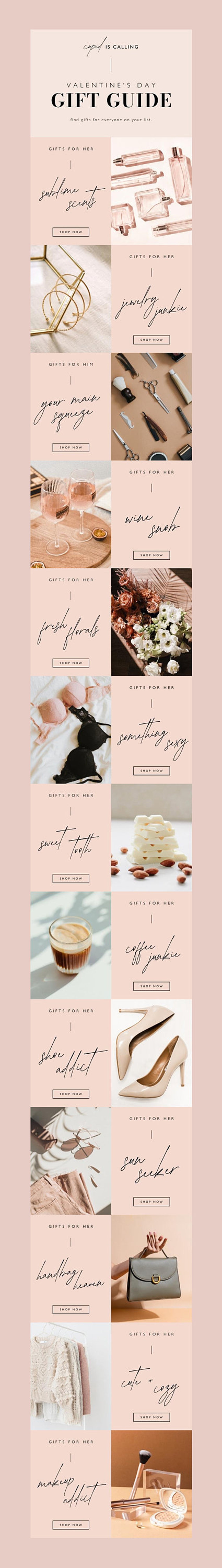 Valentines Day Gift Guide Email Template, Blush Feminine Email ...