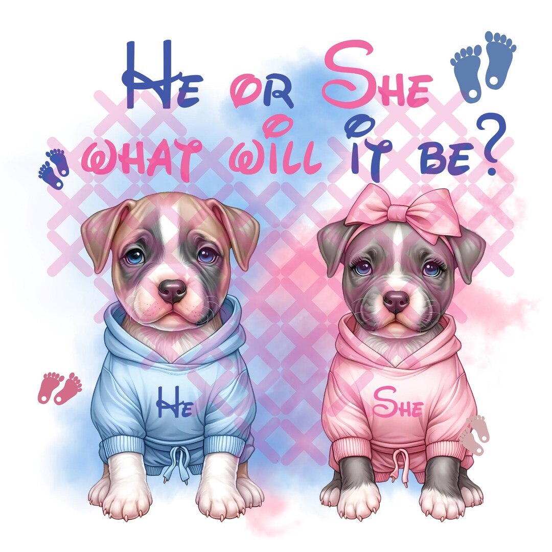 Gender Reveal Baby Shower Pitbull Puppy Dogs What Will It Be He or She ...