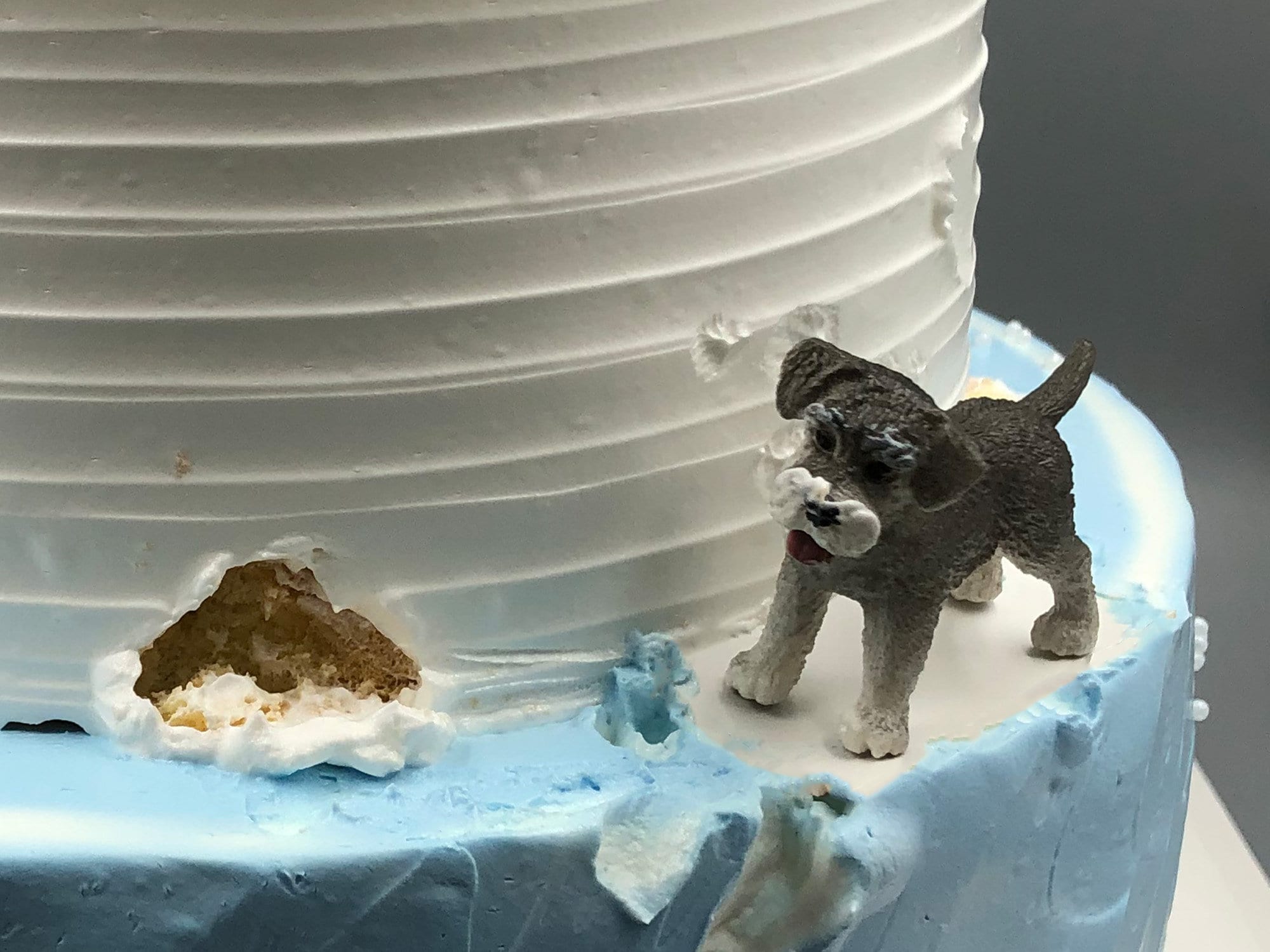Personalized Custom Pet Dog Wedding Cake Pet Birthday Cake - Etsy