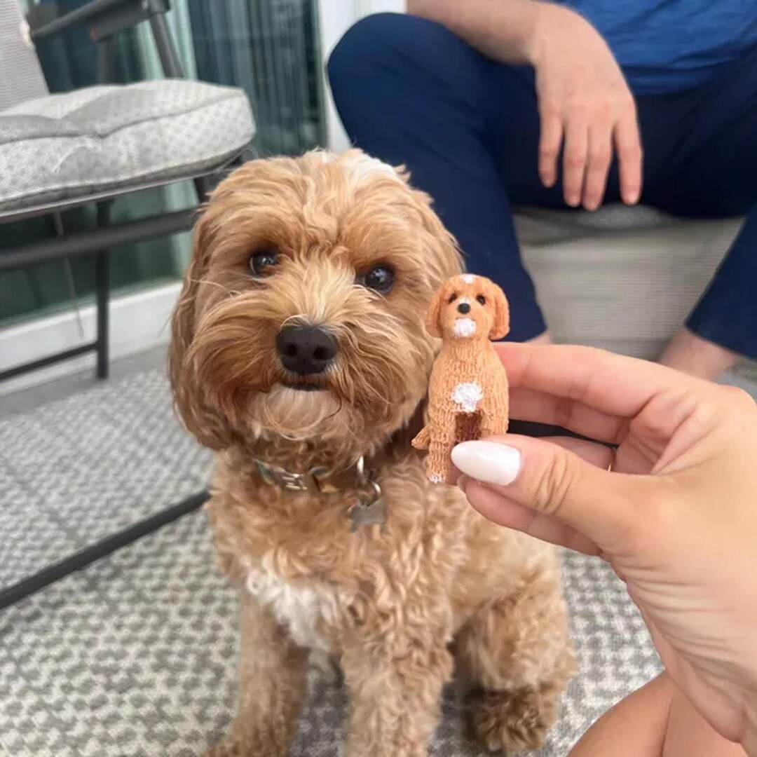 Custom Dog Cake Topper: Handmade Clay Pet Miniature - Etsy