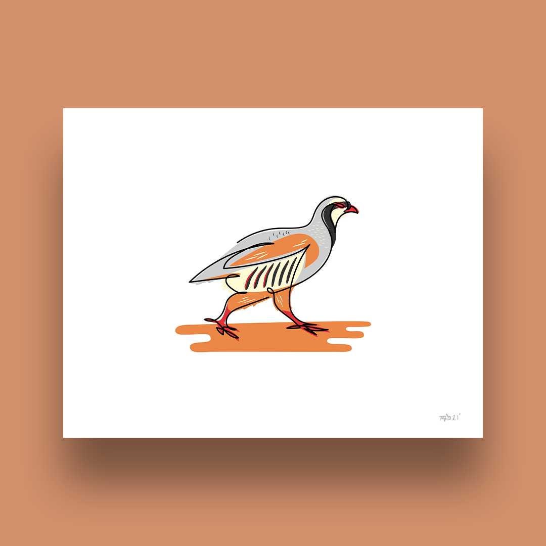 Single Line Chukar Art Print - Etsy