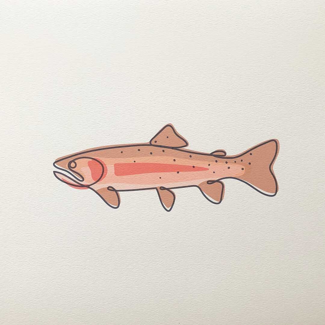 Single Line Cutthroat Trout Art Print - Etsy