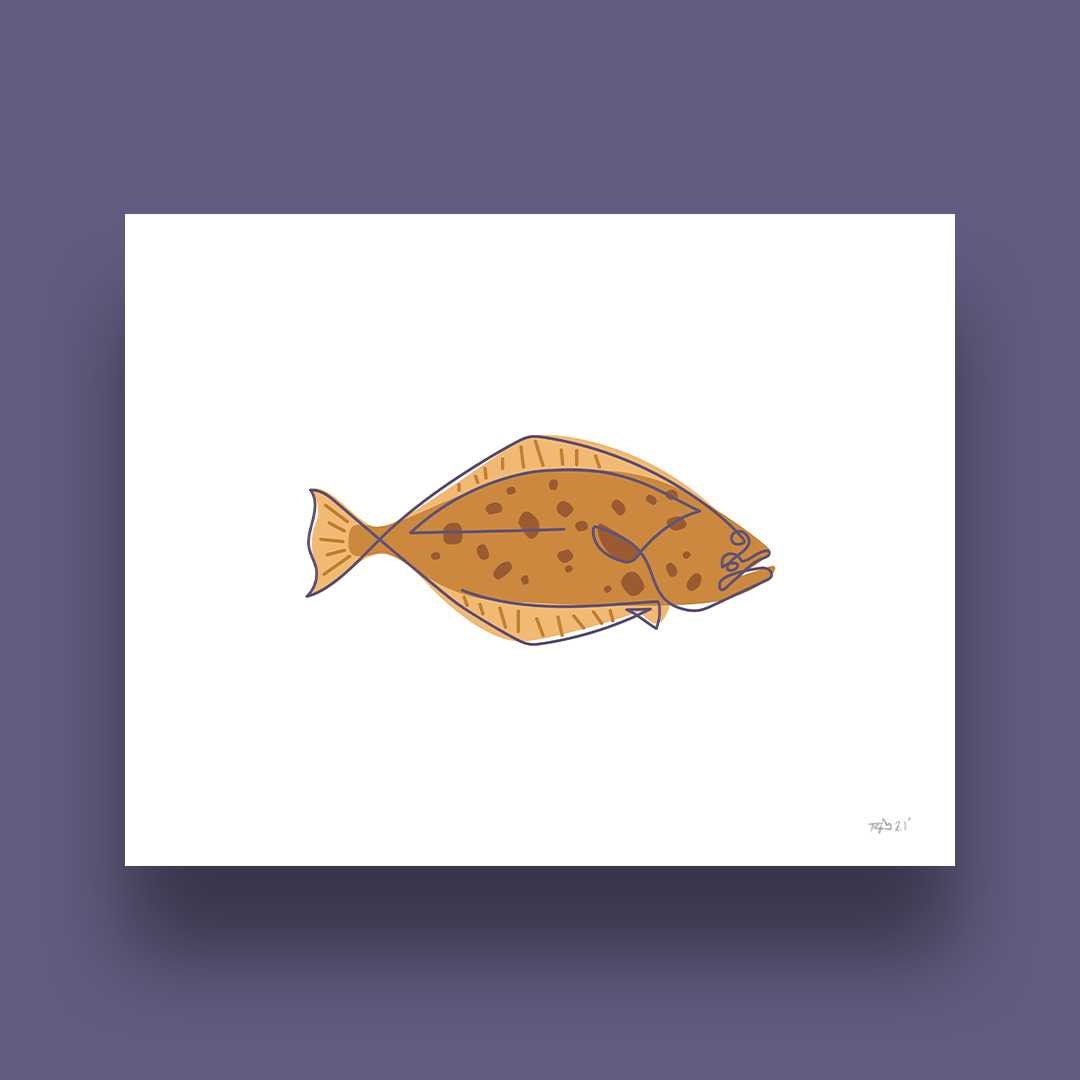 Single Line Halibut Art Print - Etsy
