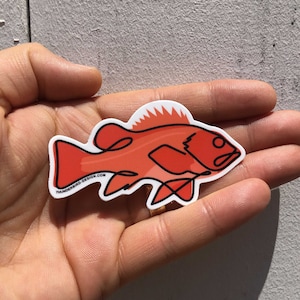 3 Single Line Vermillion Rockfish Decal - Etsy