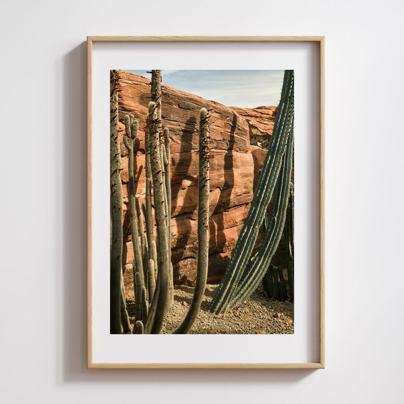 Radiator Springs Cactus Photography, Earthy Minimalist Desert Digital ...