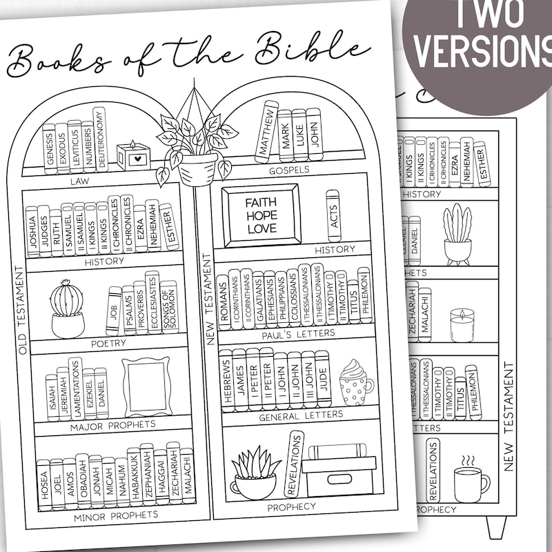 Chronological Bible Insert - Etsy