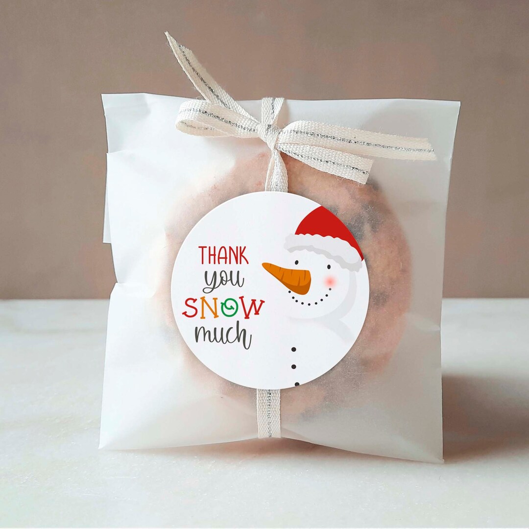 Printable Christmas Tag. Thank You Snow Much. Snowman. Cookie Tags 2x2 ...