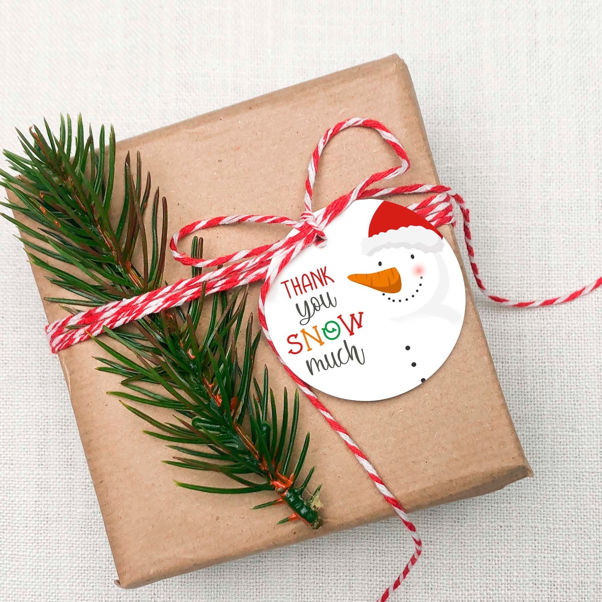Printable Christmas Tag. Thank You Snow Much. Snowman. Cookie Tags 2x2 ...