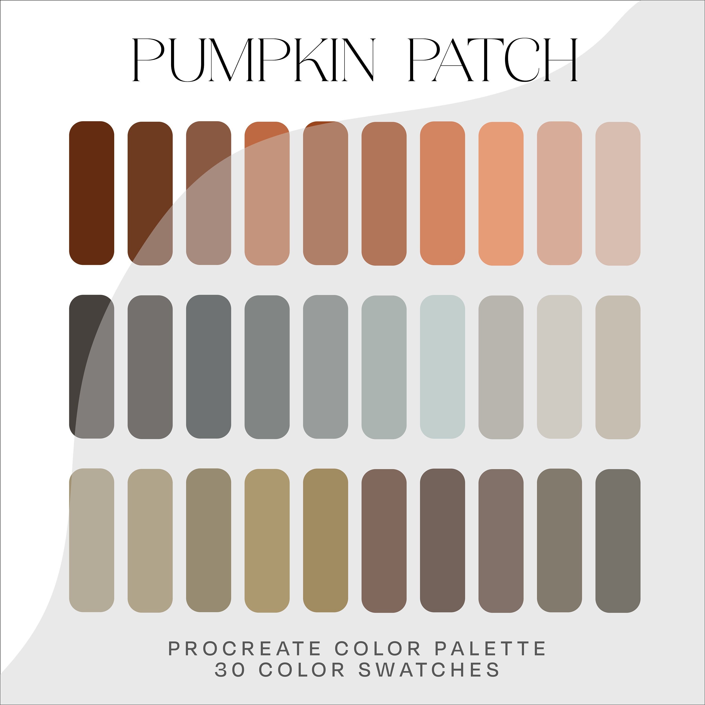 Pumpkin Patch Procreate Color Palette // Procreate Color Palette ...