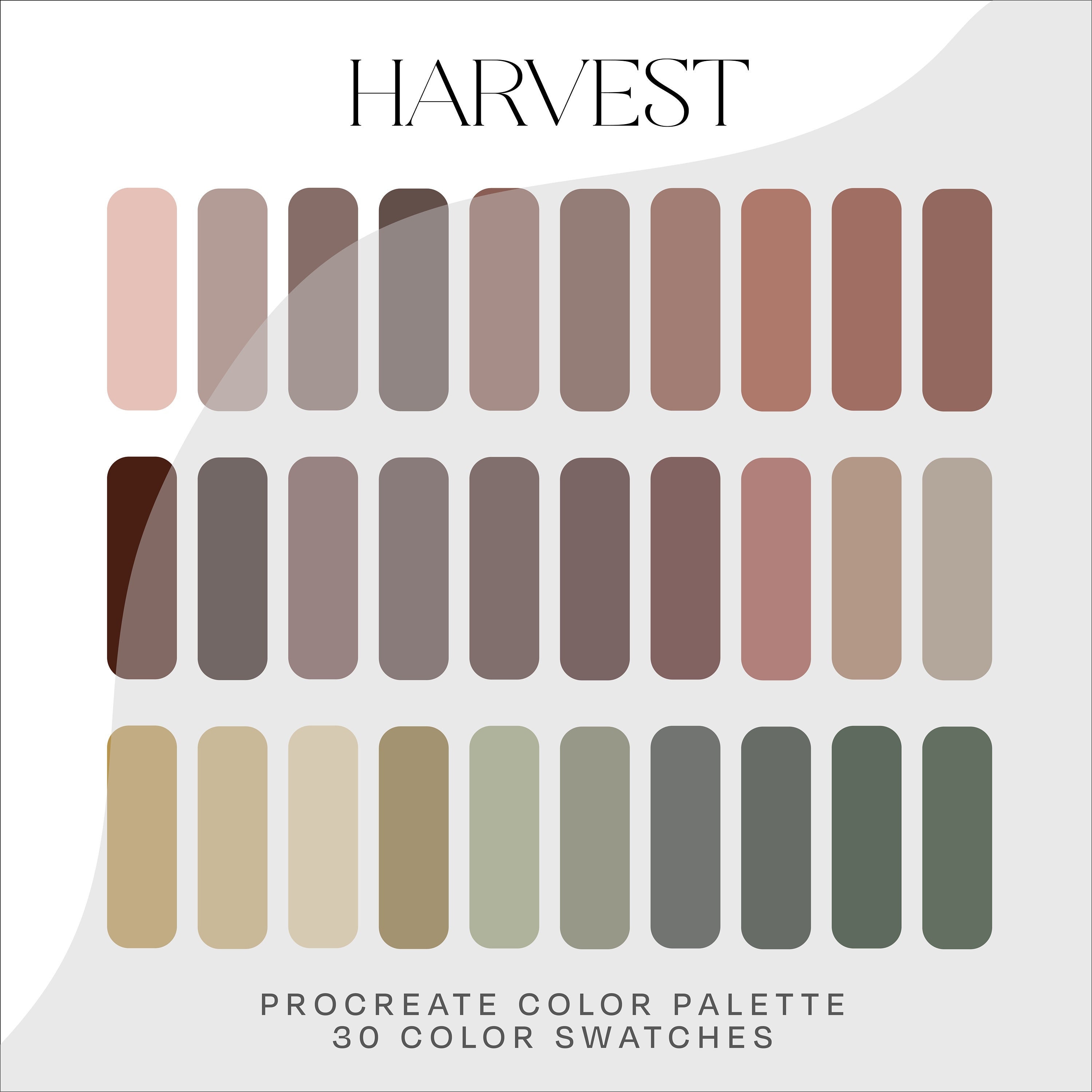 Harvest Procreate Color Palette // Procreate Color Palette // Instant ...