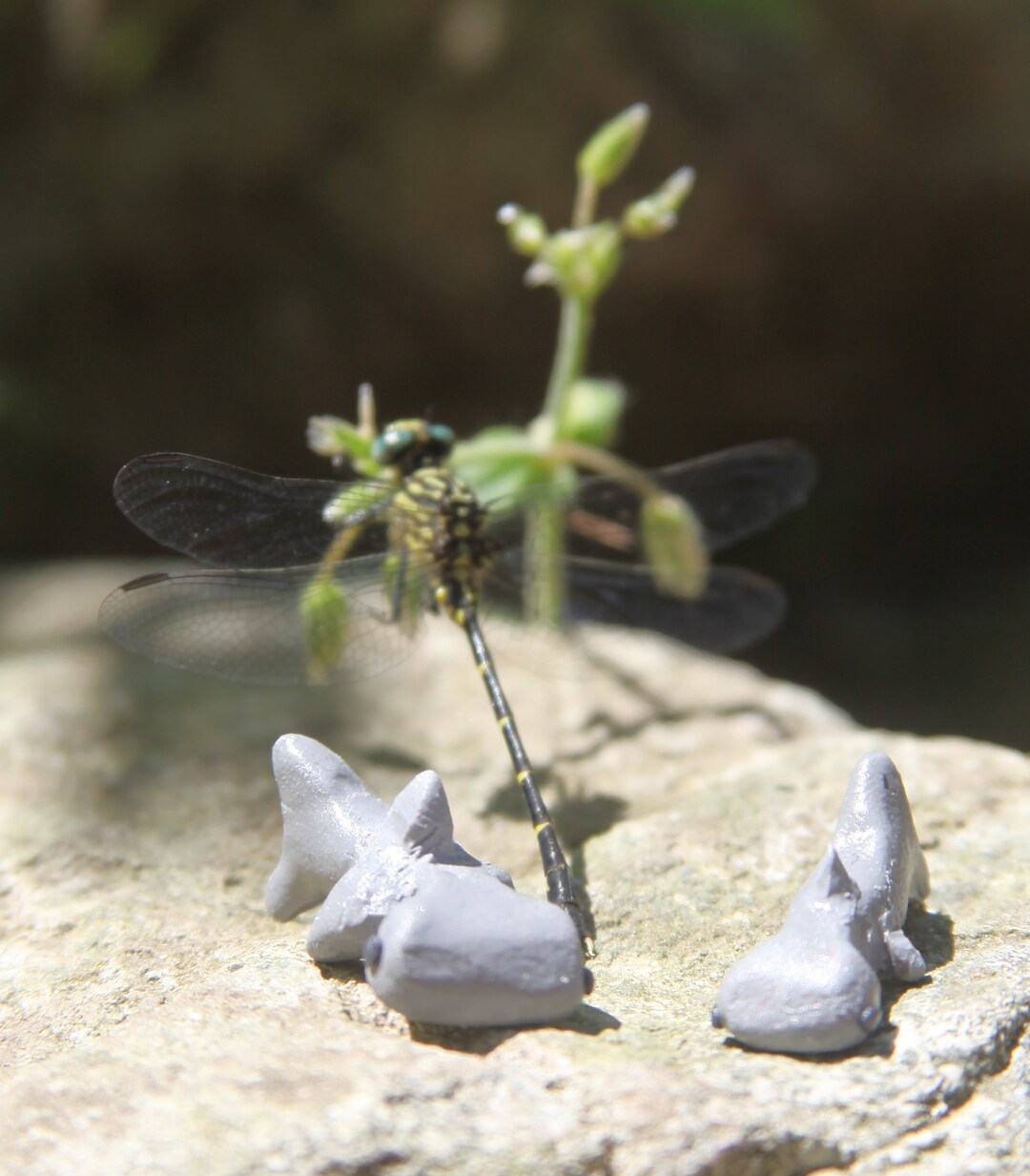 Handmade Clay Sharks - Etsy