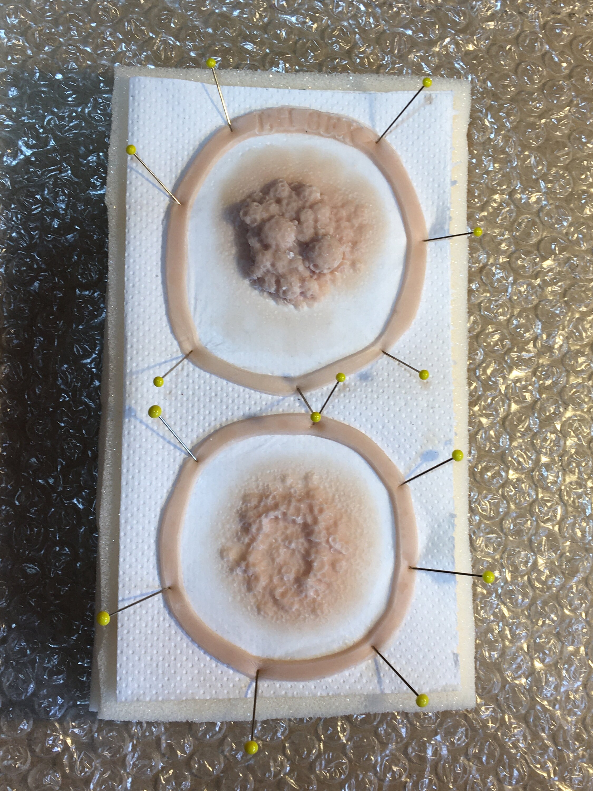 Mutated Skin Prosthetic Set - Etsy