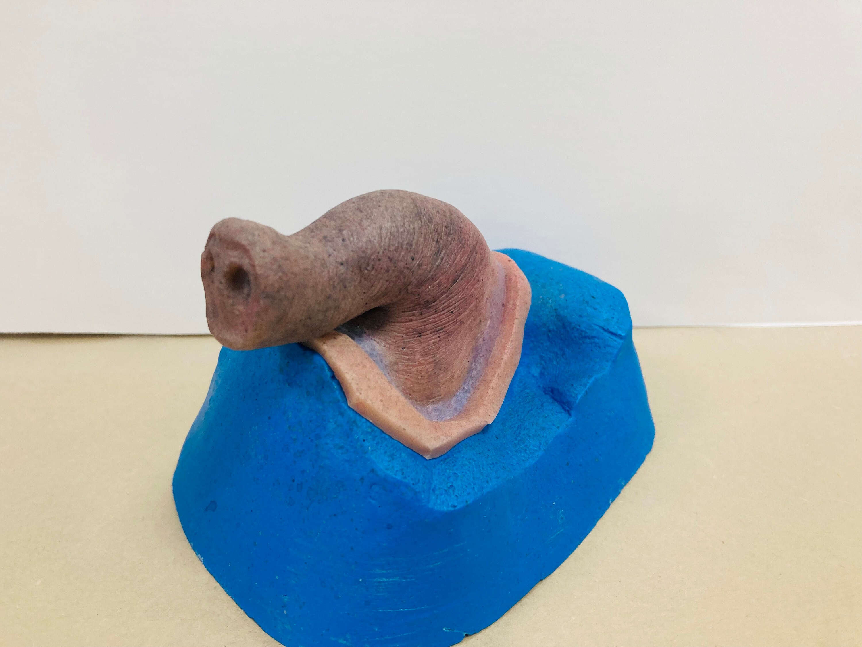 Elephant Trunk Prosthetic - Etsy